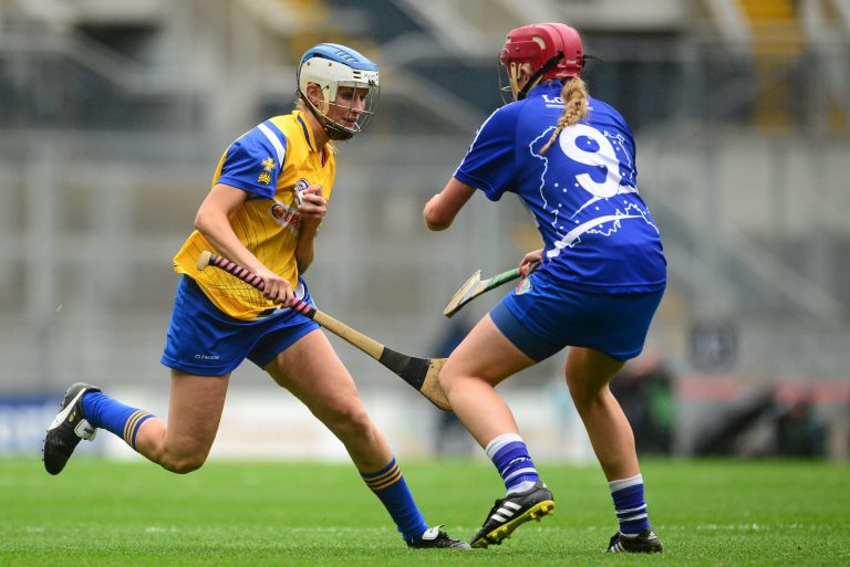 Valiant Laois camogie side beaten down South - Laois Today