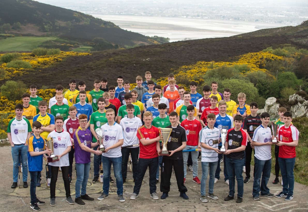 Laois Celtic Challenge hurling trials take place tonight - Laois Today