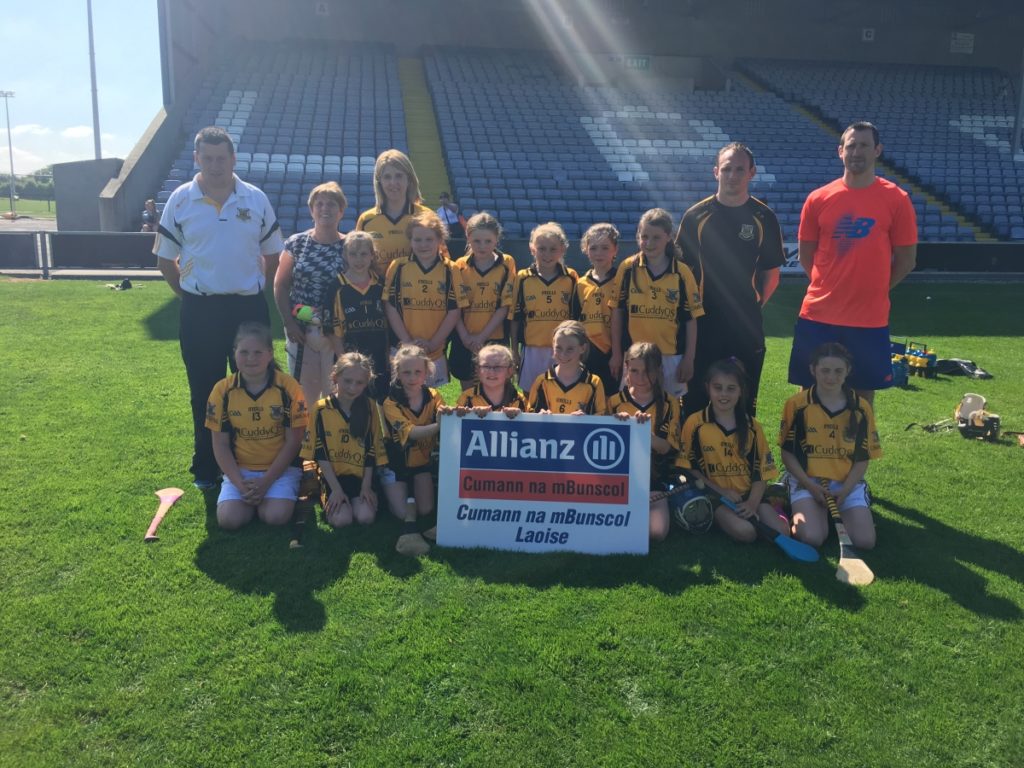 Seven up as Knockmay see off Camross - Laois Today