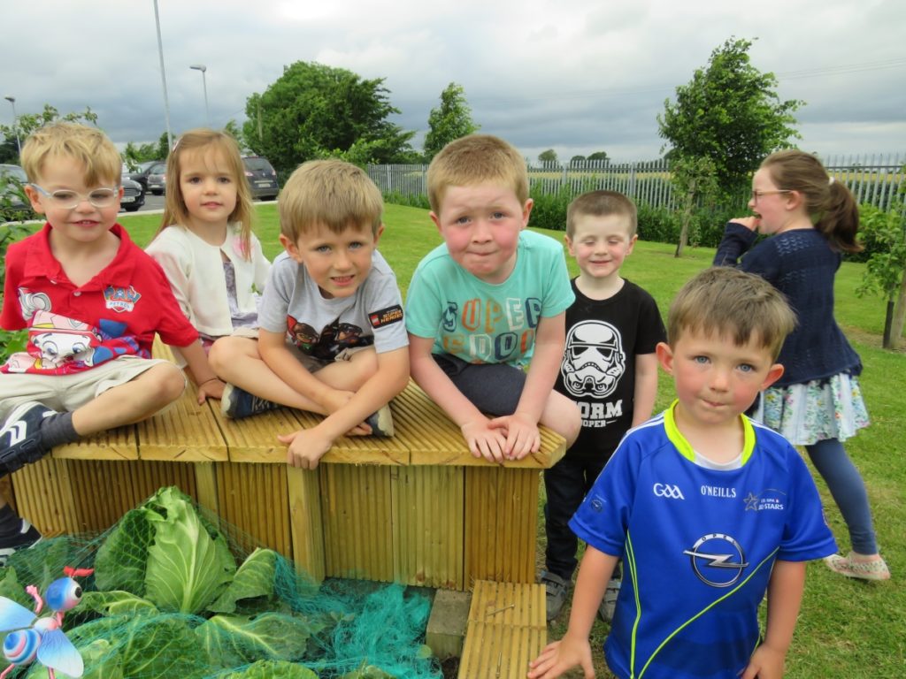 In Pictures: Ballylinan primary school principal retires after 29 years ...