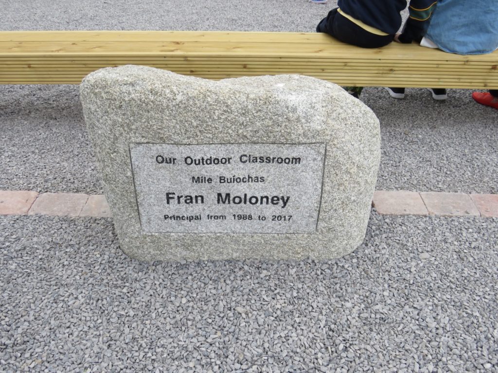 In Pictures: Ballylinan primary school principal retires after 29 years ...