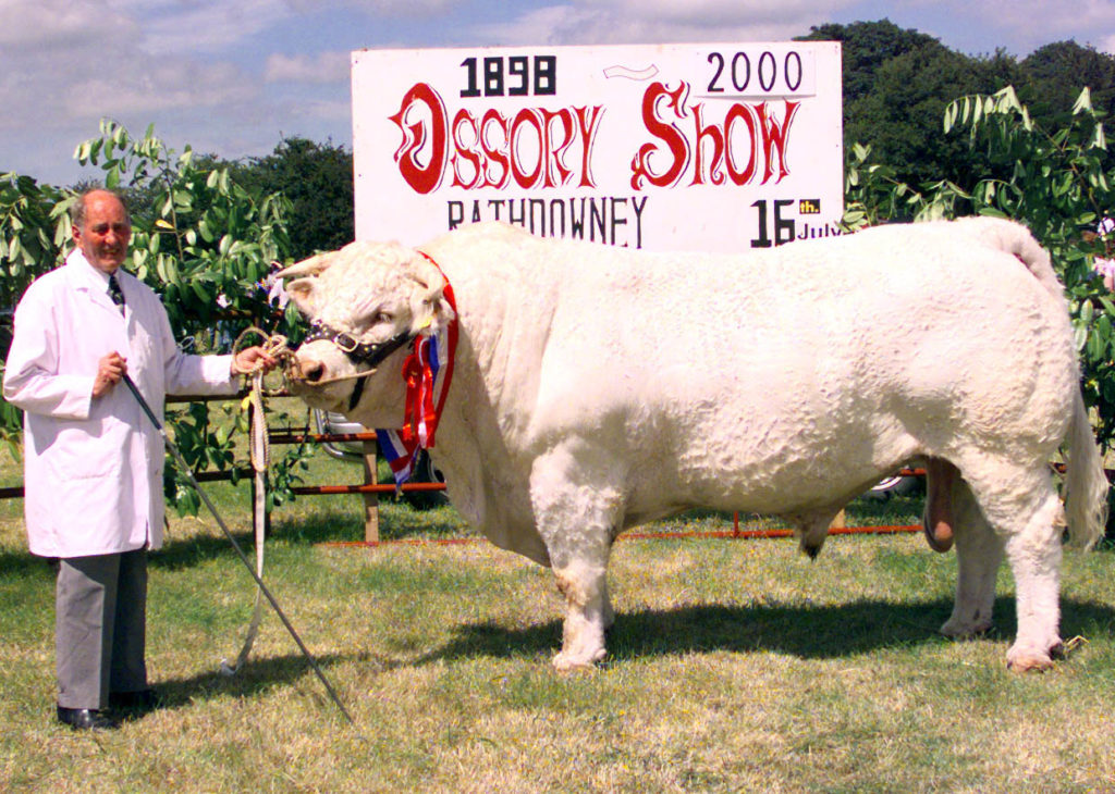 Moment In Time: The Ossory Show in the year 2000 - Laois Today
