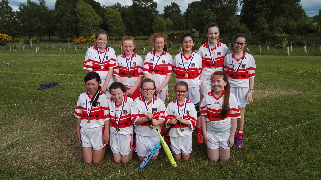 Incredible success for Emo Rounders - Laois Today