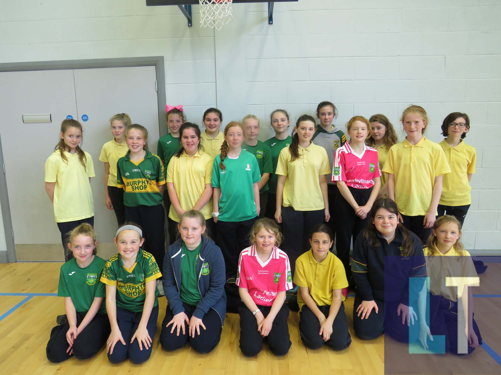WATCH: Ballylinan NS turn green and yellow for the County Final - Laois ...