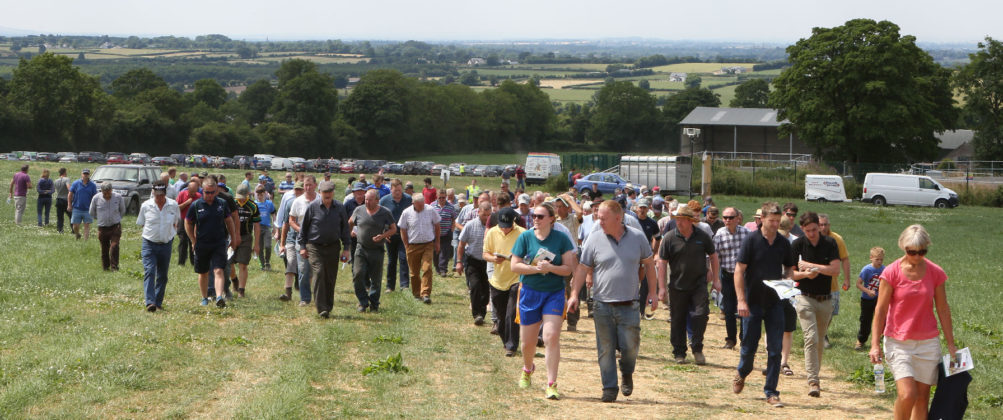 In Pictures: Teagasc Farm Walk in Laois a huge sucess - Laois Today