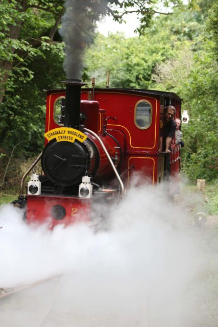Stradbally Steam Rally gearing up for its 54th year - Laois Today