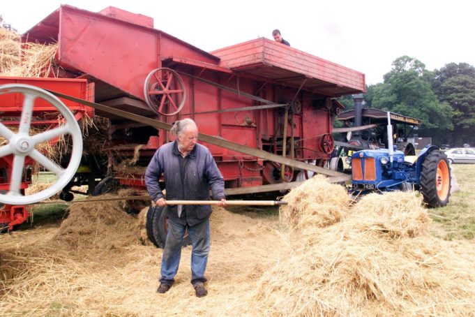 Moment in Time: Brilliant photos from the Stradbally Steam Rally in ...