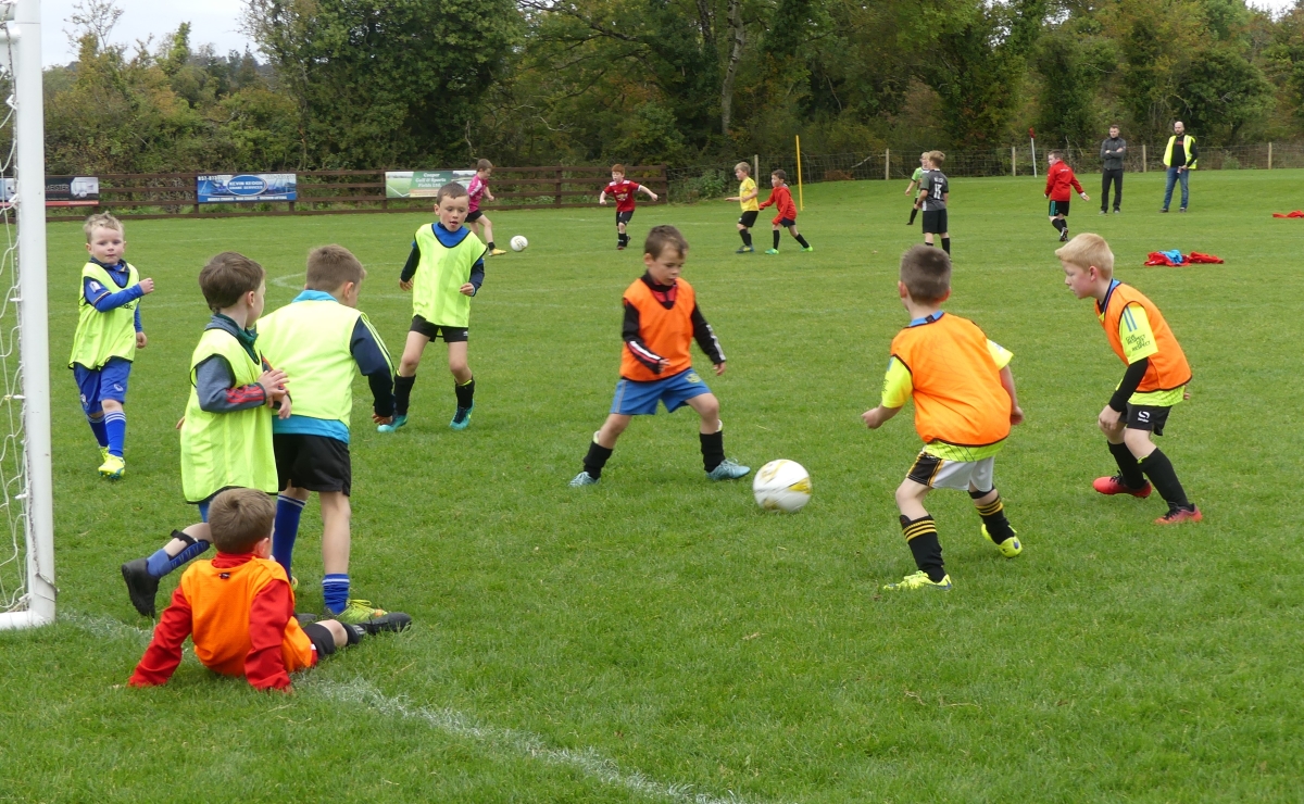 In Pictures: St Aengus FC in Mountrath celebrate 50 years of soccer in ...
