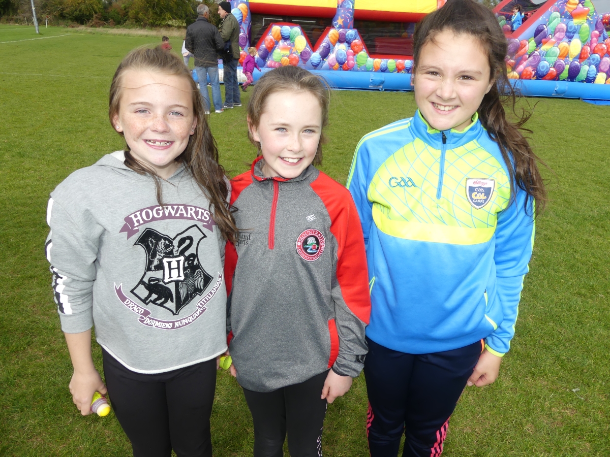 In Pictures: St Aengus FC in Mountrath celebrate 50 years of soccer in ...
