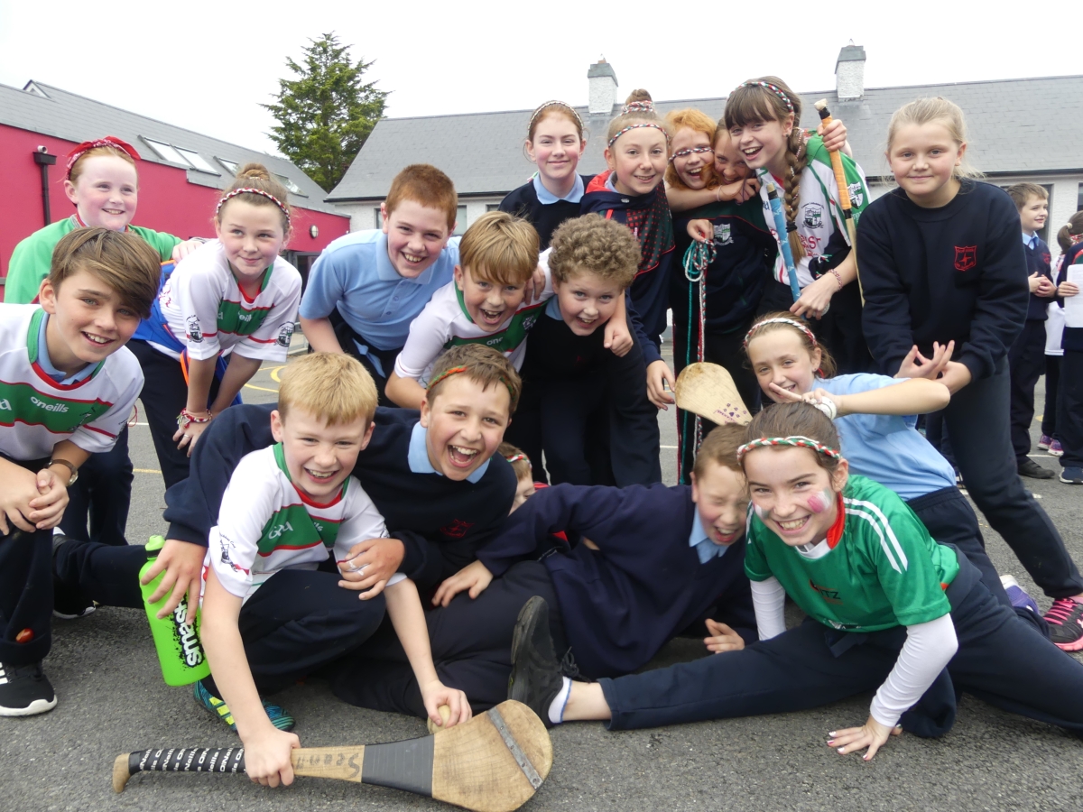 In Pictures: Electric atmosphere in Rathdowney school ahead of county ...