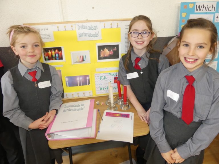 In Pictures: Science in safe hands at Timahoe NS - Laois Today