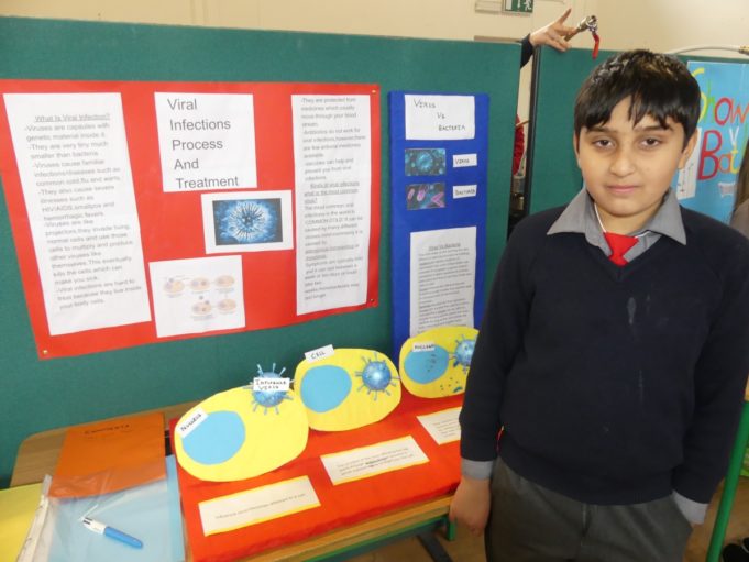 In Pictures: Science in safe hands at Timahoe NS - Laois Today