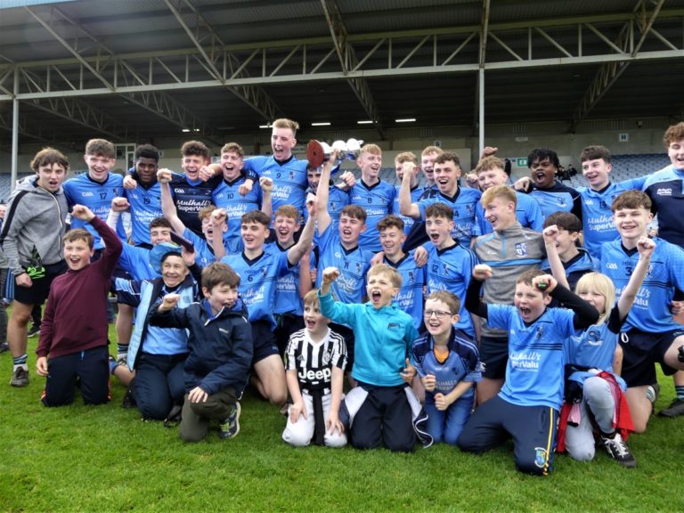 With the 2018 Laois GAA season now finally over we've picked our top 15 ...