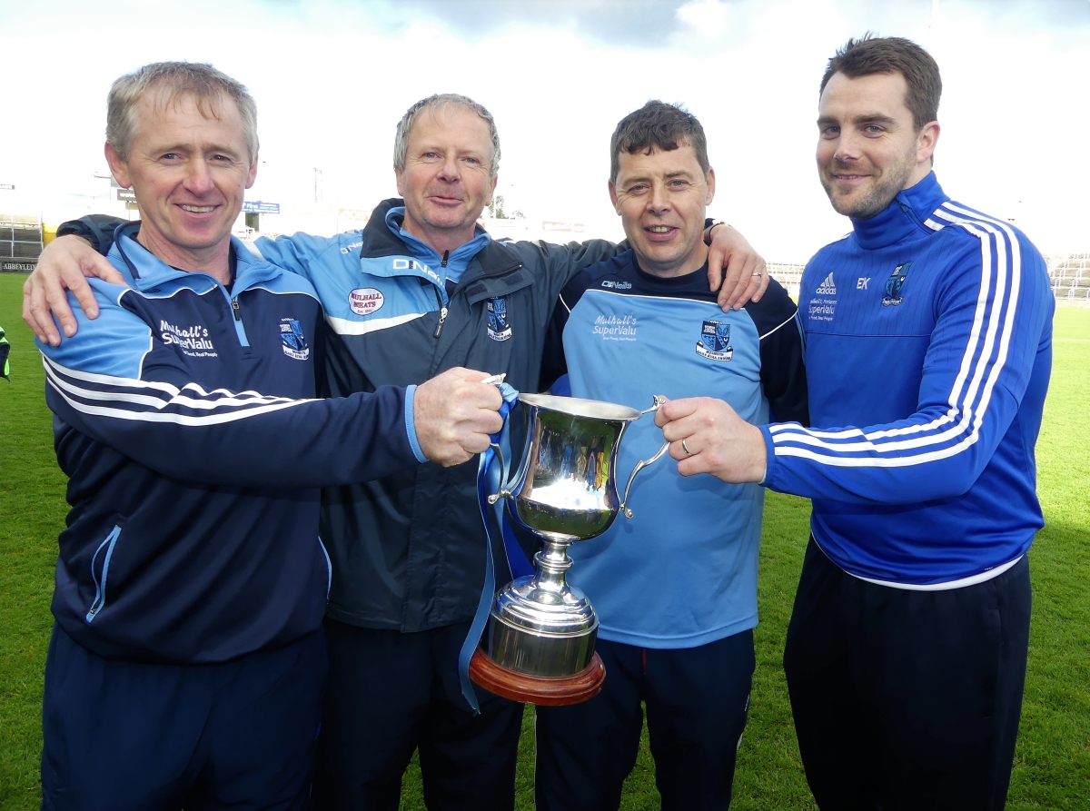 In Pictures: Joyous scenes as Ballyroan-Abbey claim Minor football ...