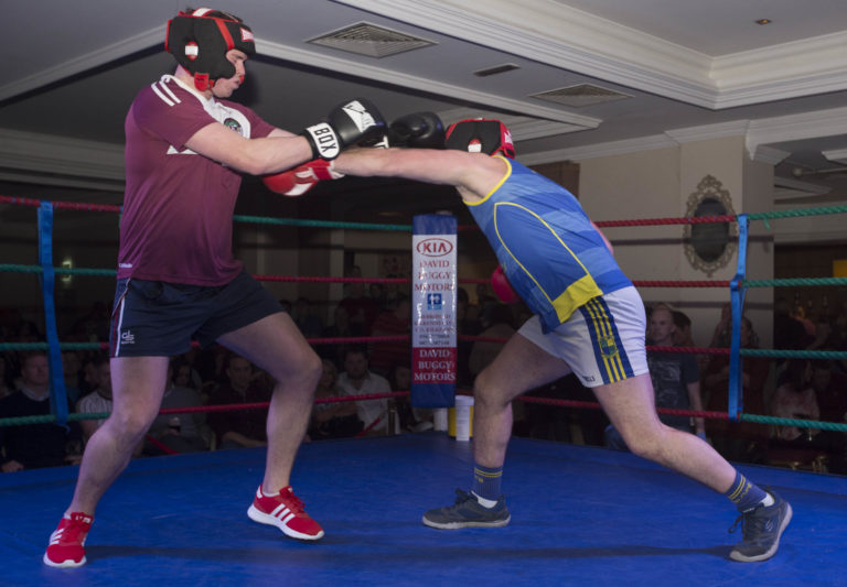 In Pictures: Serious craic as Ballinakill and Abbeyleix hurlers take to ...