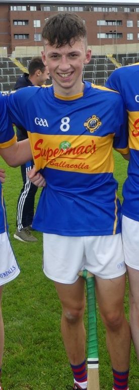 Introducing the 2019 LaoisToday Minor hurling Team of the Year - Laois ...