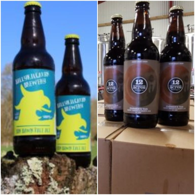 Two Laois businesses gearing up for Indie Beer Week - Laois Today