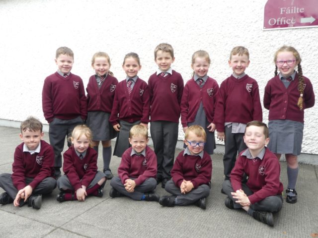 In Pictures: Ballinakill NS powering a green wave as they hoist sixth ...