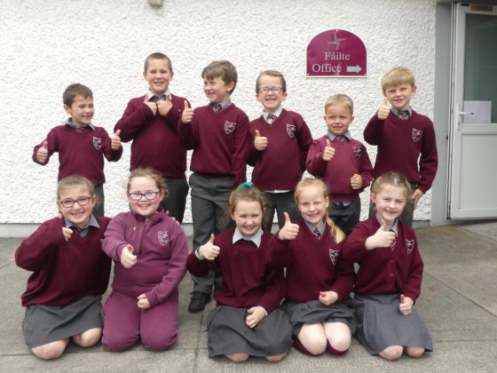 In Pictures: Ballinakill NS powering a green wave as they hoist sixth ...