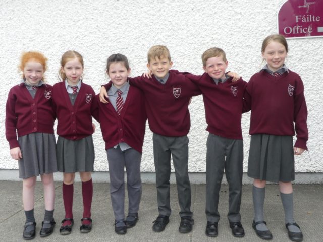 In Pictures: Ballinakill NS powering a green wave as they hoist sixth ...