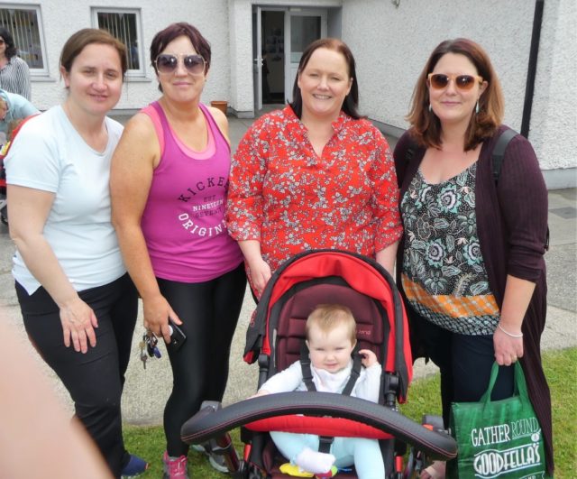 In Pictures: Ballinakill NS powering a green wave as they hoist sixth ...