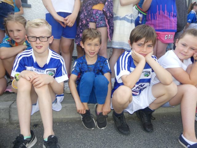 In Pictures: Scoil Mhuire Abbeyleix raise Active Flag with help from ...