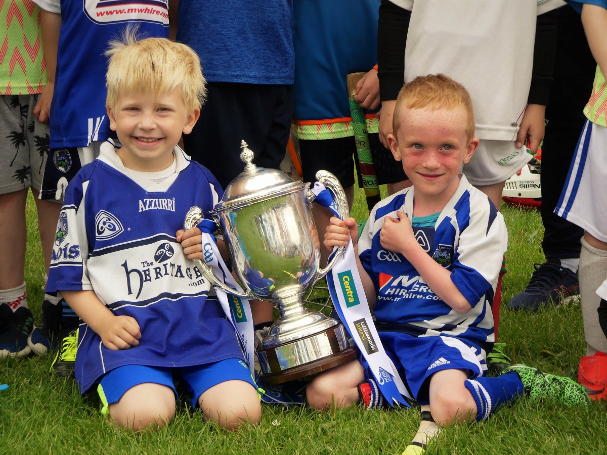 In Pictures: Huge excitement at Rathdowney Cul Camp as Joe McDonagh Cup ...