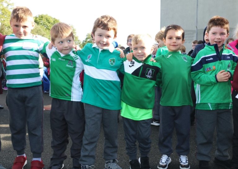 Incredible excitement in Killeshin ahead of first ever senior county final - Laois Today