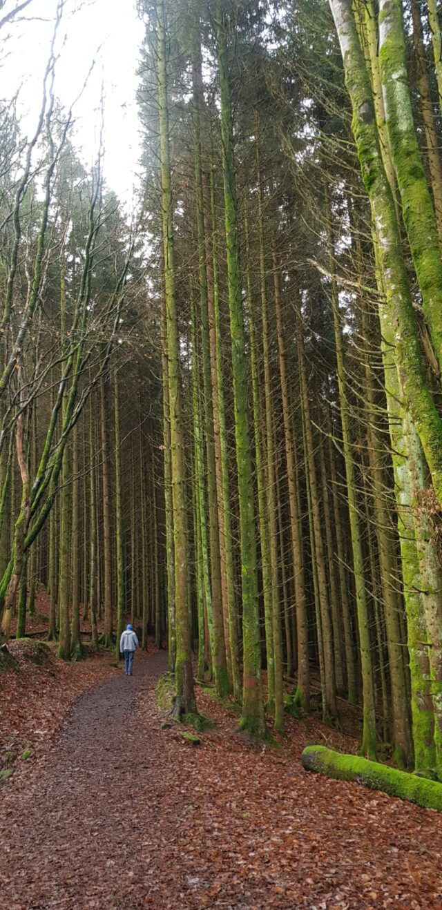 John Whelan: The Slieve Blooms - a cut above the rest - Laois Today