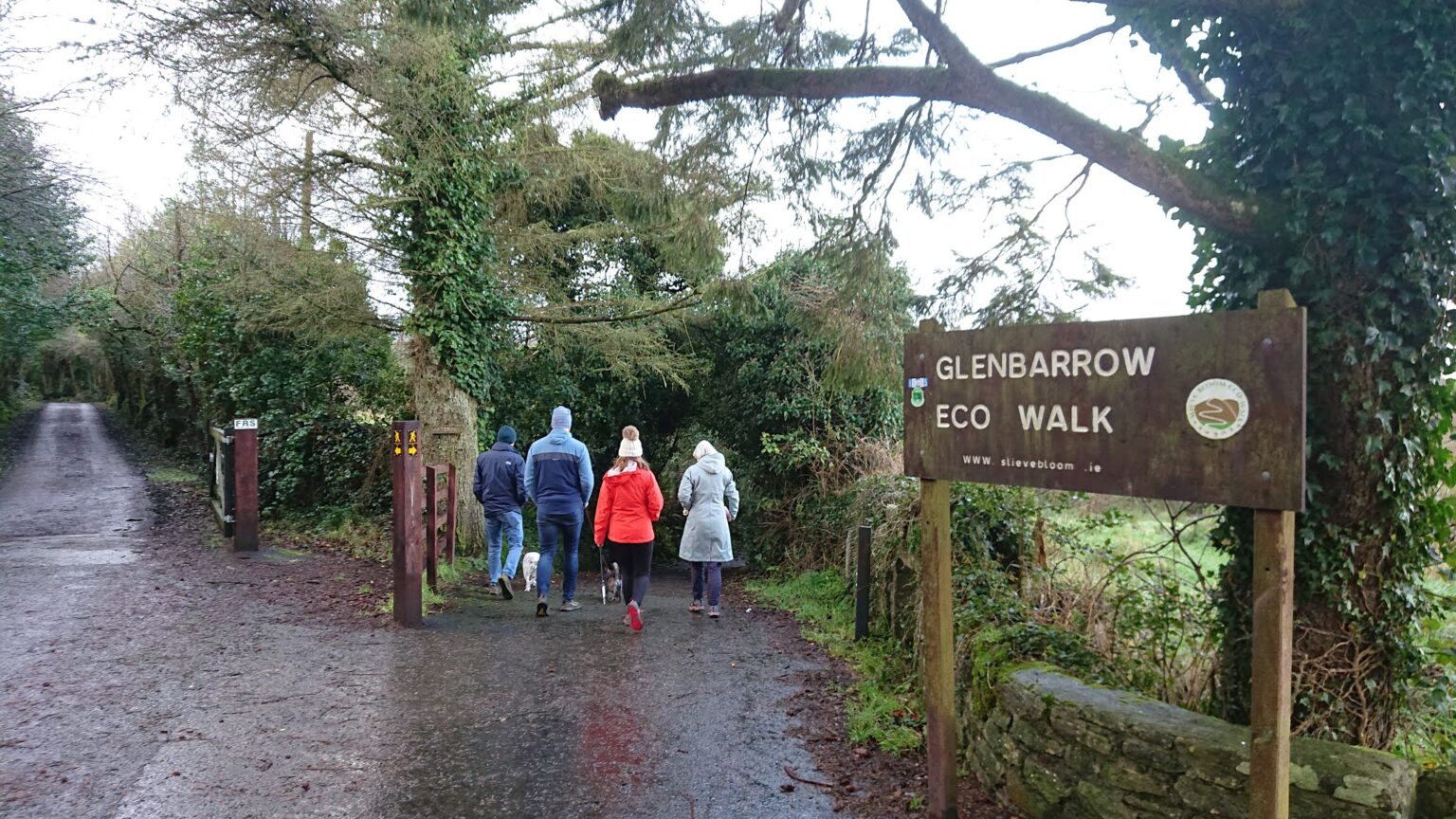 John Whelan: The Slieve Blooms - a cut above the rest - Laois Today