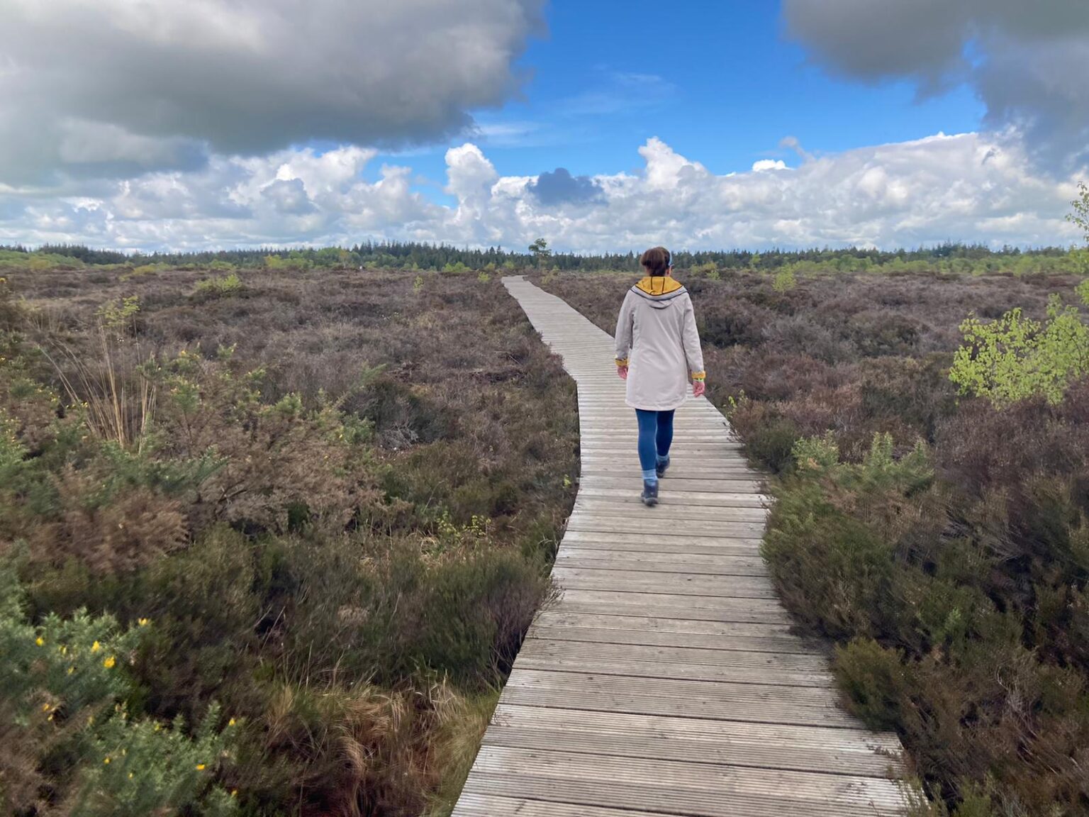 #LoveLaois: Abbeyleix Bog Walk - a highly-recommended experience ...