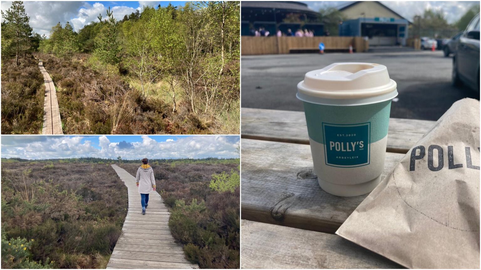 #LoveLaois: Abbeyleix Bog Walk - a highly-recommended experience ...