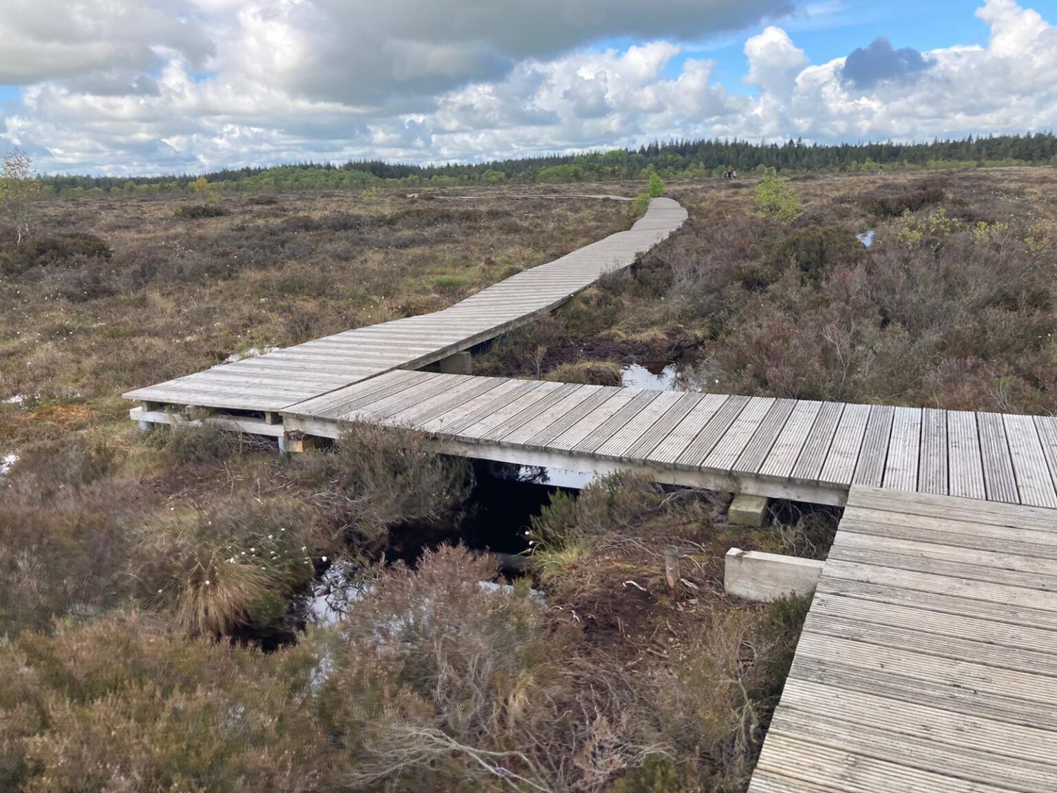 #LoveLaois: Abbeyleix Bog Walk - a highly-recommended experience ...