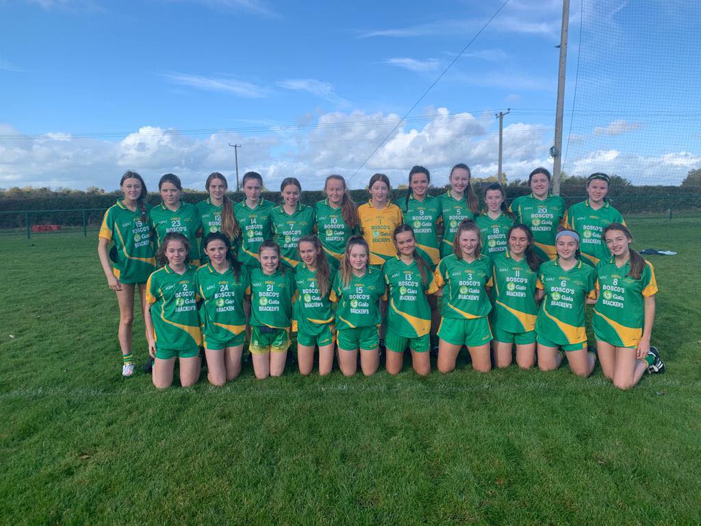 Success for Ballyroan Park-Ratheniska and The Heath in Laois ladies ...