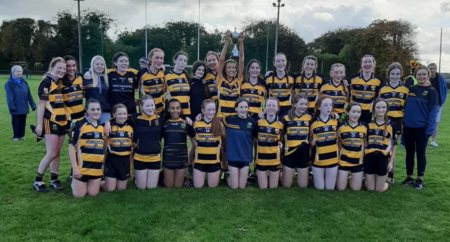 Success for Ballyroan Park-Ratheniska and The Heath in Laois ladies ...