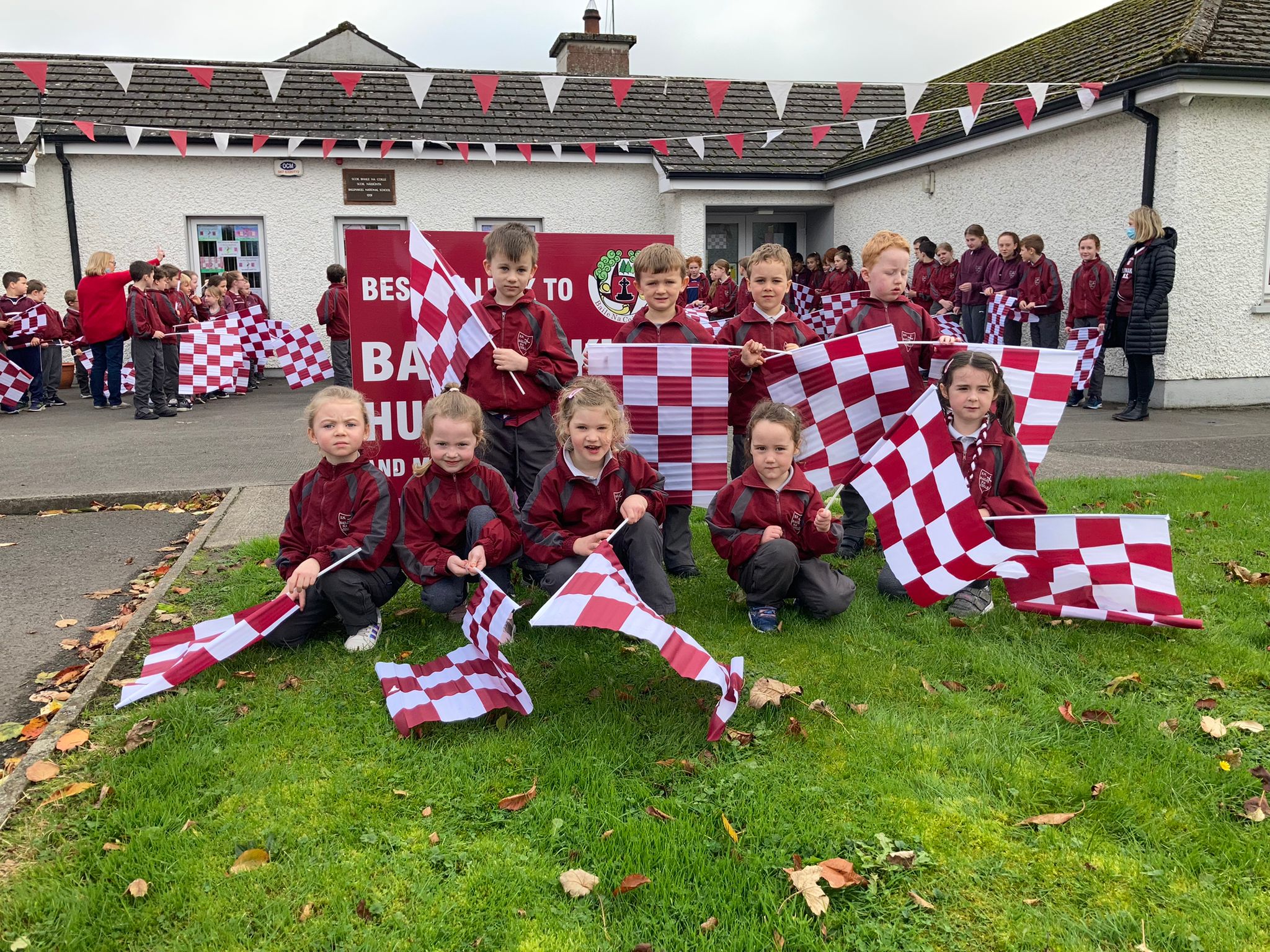 In Pictures: Ballinakill children show their colours as big hurling ...