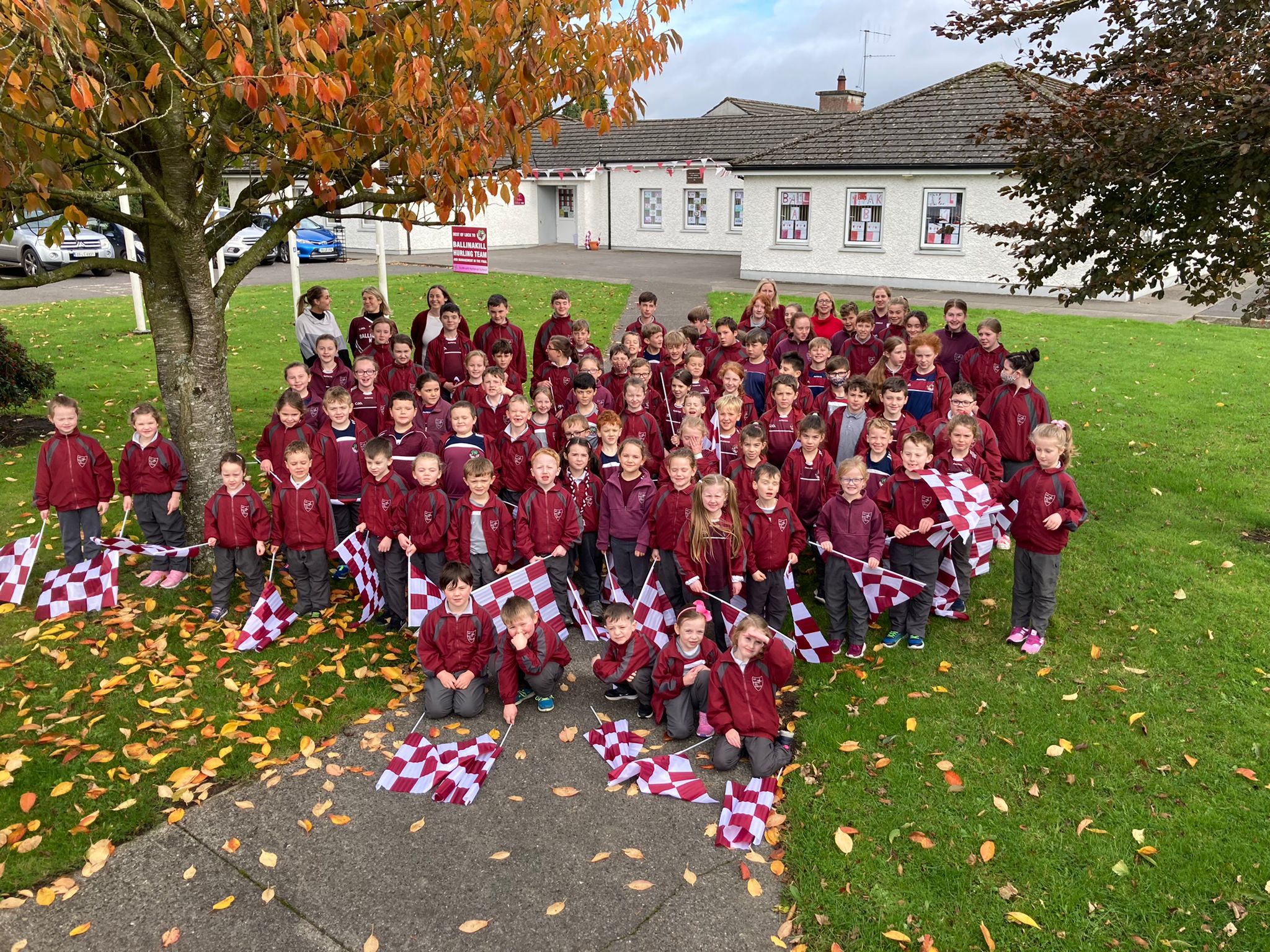 In Pictures: Ballinakill children show their colours as big hurling ...