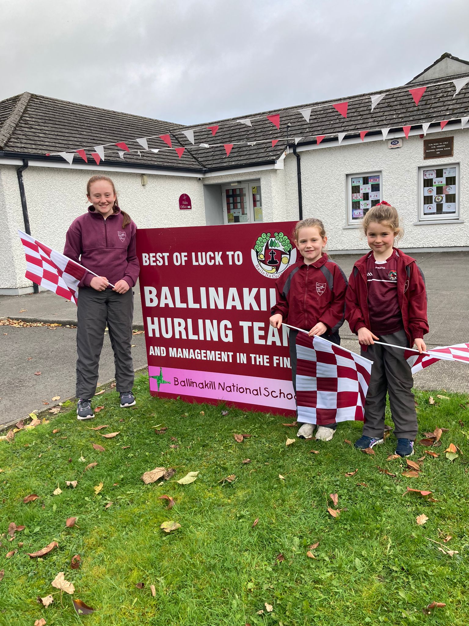 In Pictures: Ballinakill children show their colours as big hurling ...