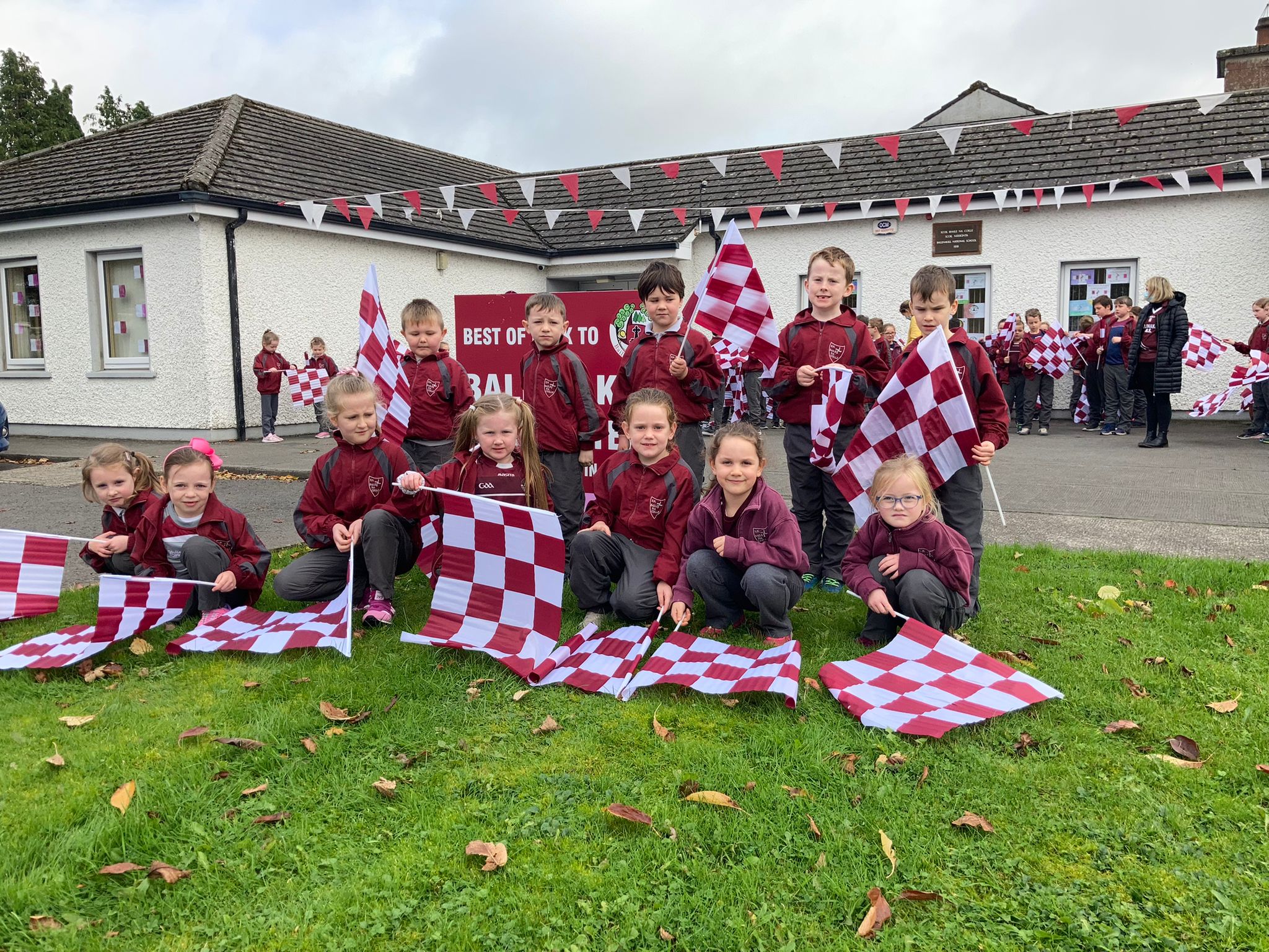 In Pictures: Ballinakill children show their colours as big hurling ...