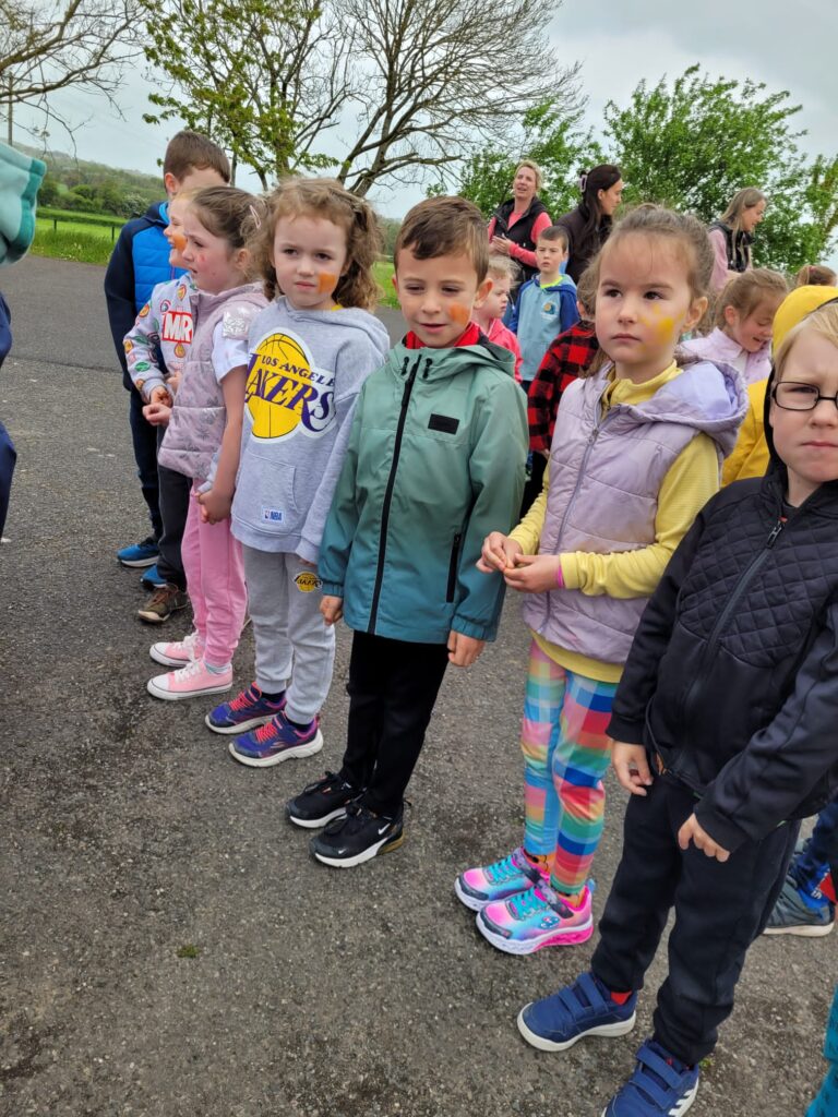 In Pictures: Money raised for Pieta House as Laois primary school ...