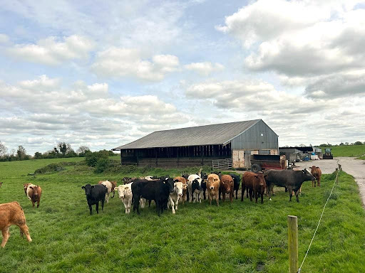 Property: Matt Dunne & Associates offering 122 acres for sale at ... Property: Matt Dunne & Associates offering 122 acres for sale at ...