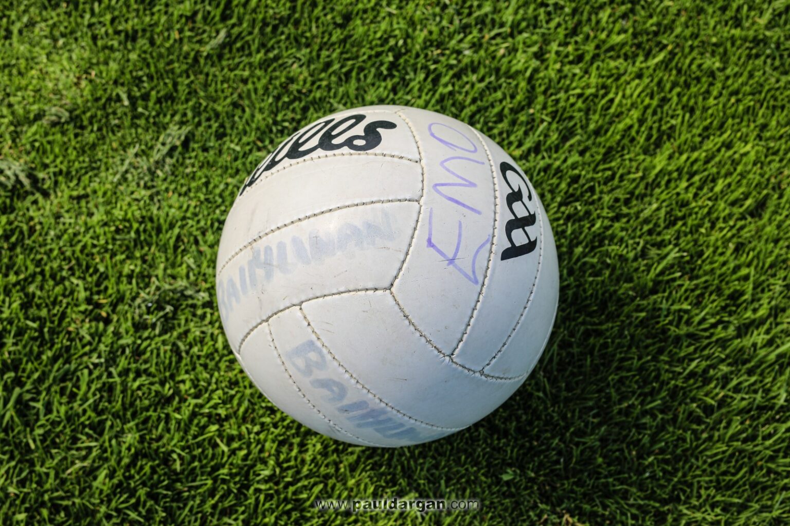 Laois IFC: Portlaoise see off Ballyroan-Abbey to maintain intermediate ...