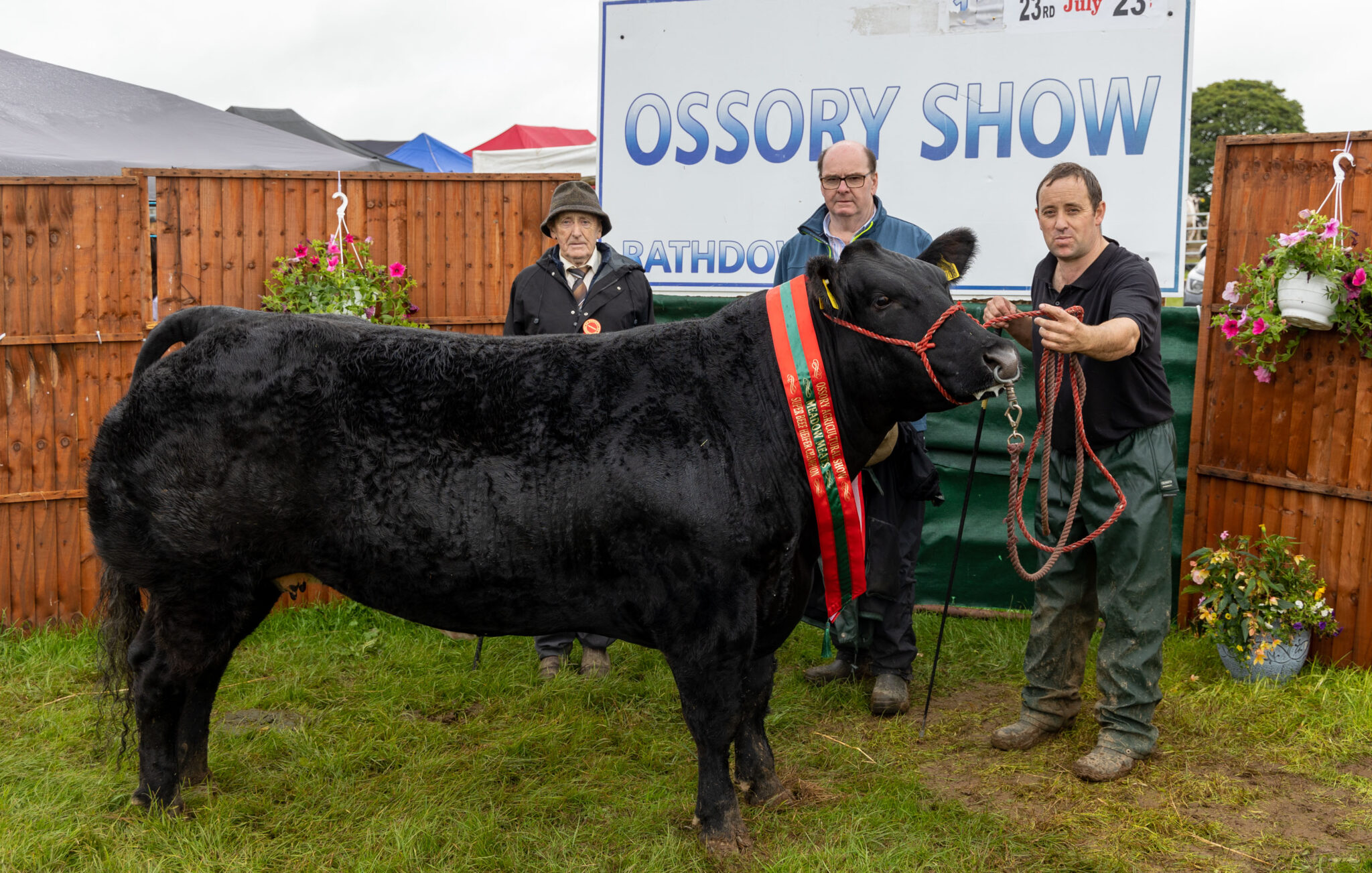 In Pictures: The full list of winners and great images from the ...