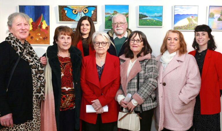 In Pictures: Stradbally Library Painters unveil first group exhibition ...