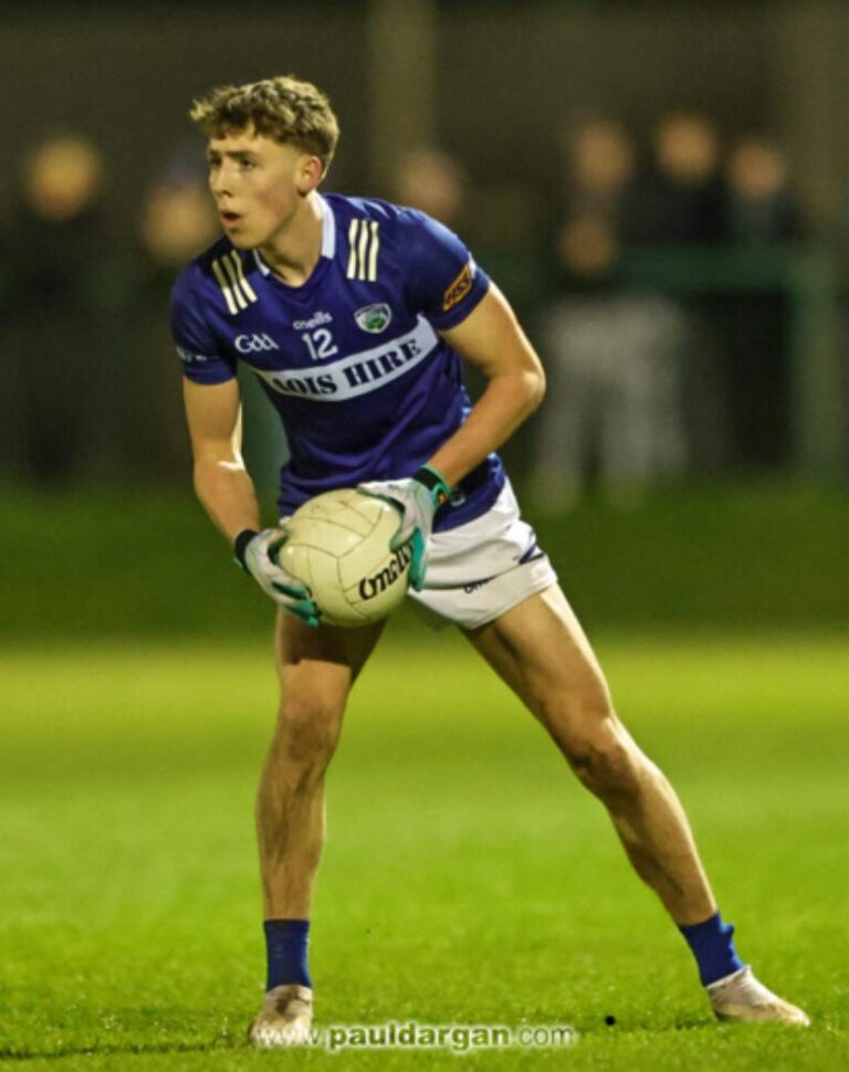 The Laois GAA Award winners for the 2024 season have been announced ...