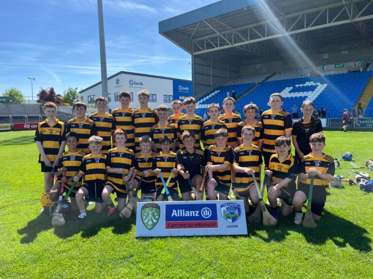 GAA Archives - Laois Today