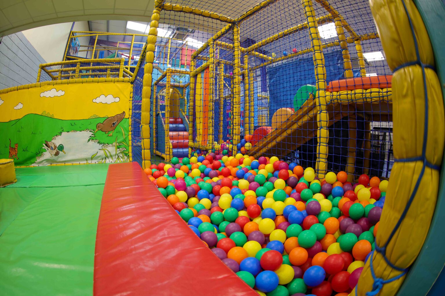 Roll 'n Bowl set for official relaunch with beautiful new look - Laois ...