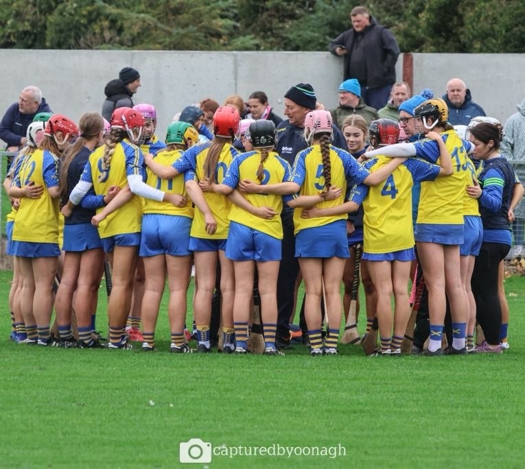 Camogie: Abbeyleix march into Leinster Junior Camogie final with ...